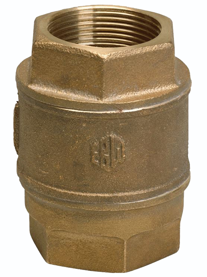 EBW Vertical Check Valve - National Petroleum Equipment