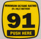 OVATION OVERLAY DECAL 91 OCTANE - National Petroleum Equipment