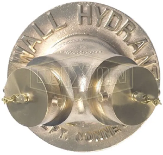 Dixon Valve DMOCA40225F - Exposed Two-Way Wall Hydrant - National ...