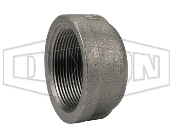 Dixon Valve MICAP600 - NPT Threaded Cap - National Petroleum Equipment