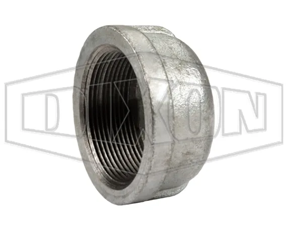 Dixon Valve MICAP75G - NPT Threaded Cap - National Petroleum Equipment
